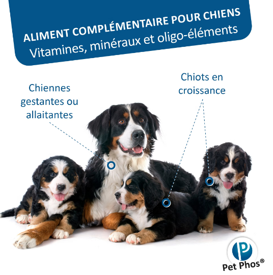 PETPHOS CROISSANCE GRAND CHIEN CAP/P=2 100 CPR – Zanimax.tn