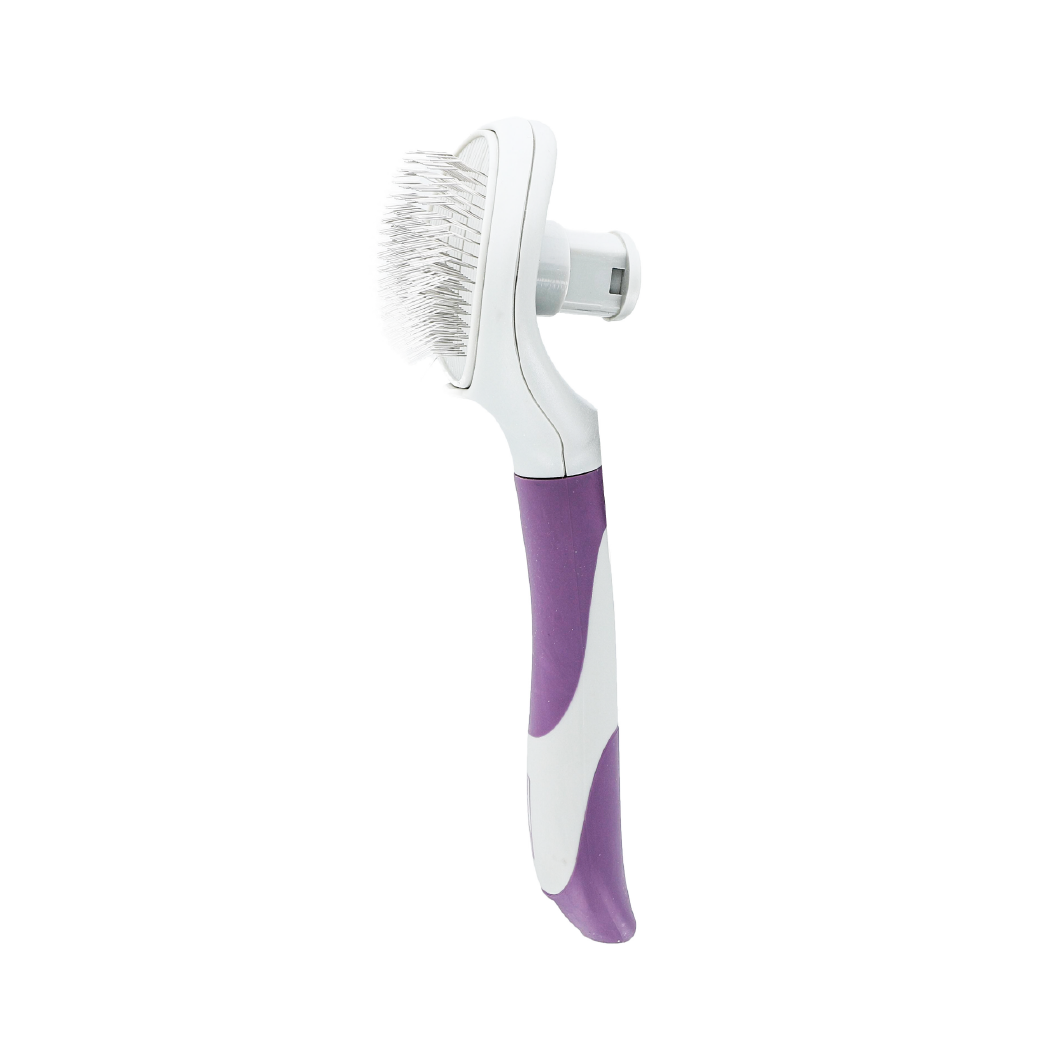 FELICAN - BROSSE AUTO NETTOYANTE AVEC BOUTON M – Zanimax.tn